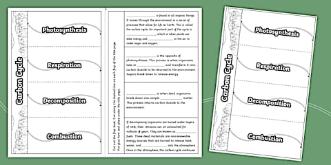 The Carbon Cycle Vocabulary Cards Activity