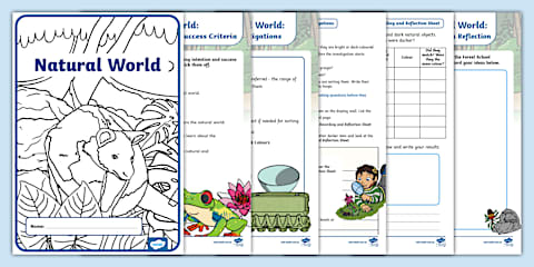 ESL Natural World Wordsearch [Kids, A2]