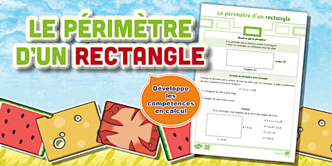 Évaluation aire et périmètre 5ème avec corrigés