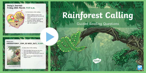 Rainforest Calling eBook