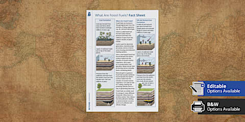 Fossil Fuels PowerPoint