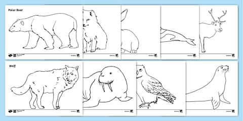 Arctic Animal Cutouts