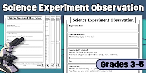 Fifth Grade Qualitative vs. Quantitative Data Science Worksheet