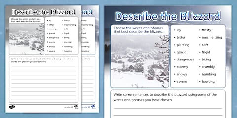 Second Grade Blizzards Fact File and Vocabulary Questions