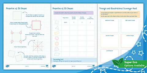 Year 4 Properties of 2D Shapes Activity Sheet