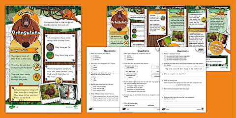 Aus Curric Year 2 Reading Comprehension Assessment Rubric/Guide to ...