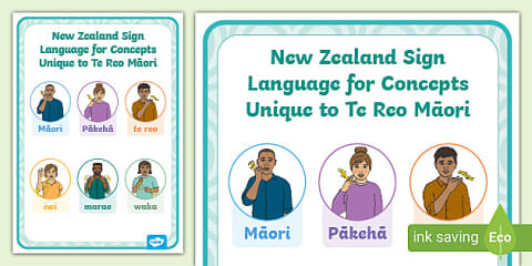 Māori Concept Signs Word Mats