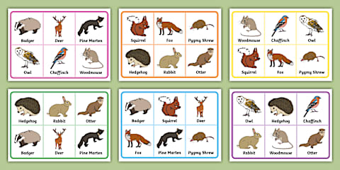 Ice Age Animals Fact File Template