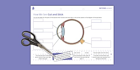 How We See PowerPoint