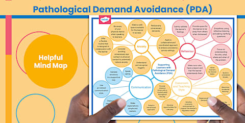 PDA PANDA Approach: Disguise and Manage Demands