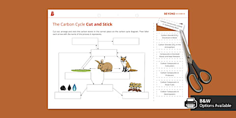The Carbon Cycle Game