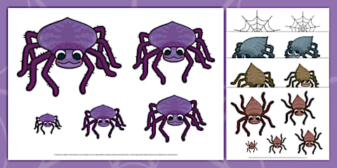 Spider Pattern Tracing Activity