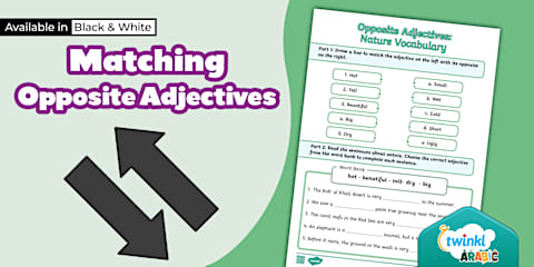 قصة بيضة سعيد