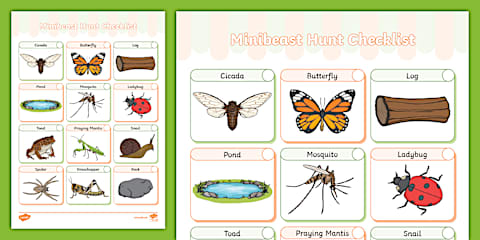 Minibeasts Complete the Pattern Worksheets - minibeasts, patterns