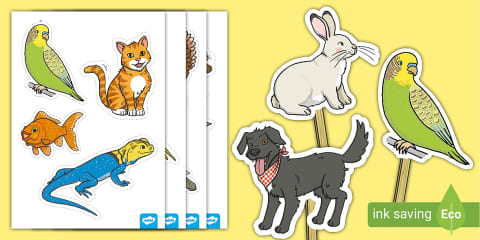 Animal Photo Cards