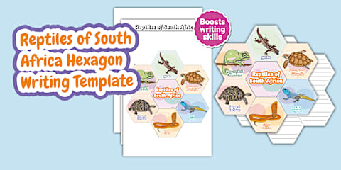 Intermediate Phase English - Term 4 – Reflective Journaling – Activity ...