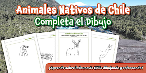 Guía de Trabajo: Mapa Narrativo del Cuento - Pedrito y el Lobo