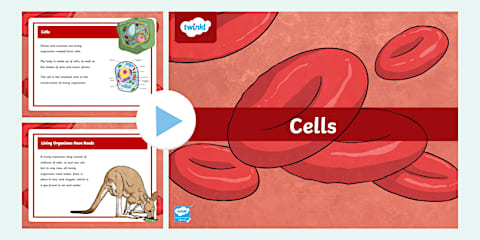 What Is a Cell? PowerPoint & Google Slides for 6th-8th Grade
