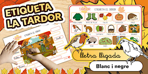 Quadernet d'activitats: Estiu variat - Valencià