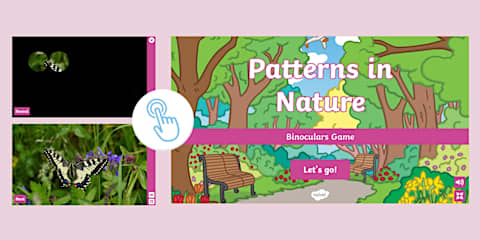 Nature Line Patterns Interactive Game