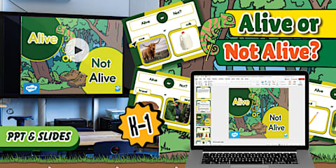 Living and Nonliving Things Interactive Sorting Game