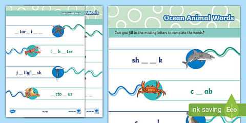 First Grade My Favorite Ocean Animal Informative Writing Prompt Worksheet
