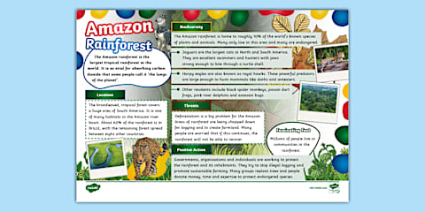 Endangered Animals of the Amazon Rainforest PowerPoint