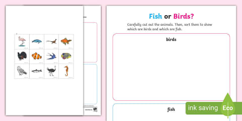 Animal Sorting Activity
