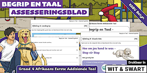 Graad 4 Afrikaans Eerste Addisionele Taal - Kwartaal 3 - Antonieme ...