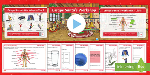 Christmas Beetle Activity Sheets