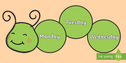 Months of the Year on Giant Caterpillar