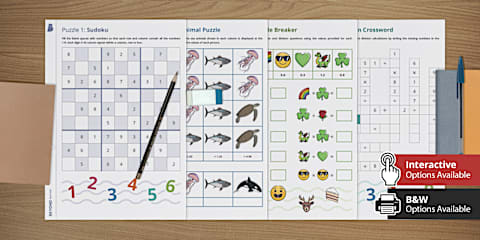 'Noggle' Maths Instructions and Display Pack