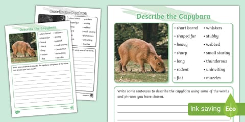 Capybara Word Search