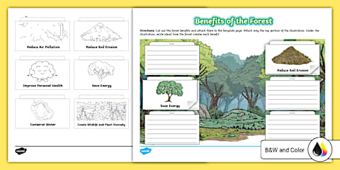 Introduction to Environmental Science Lapbook for Homeschool