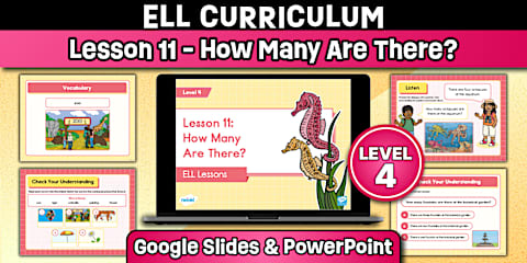 ELL Curriculum: Level 4, Lesson 10 Whose Is It? Possessive "S" Lesson Pack