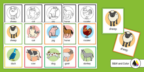 Identical and Nonidentical Matching Cards and Sorting Mats for Special ...