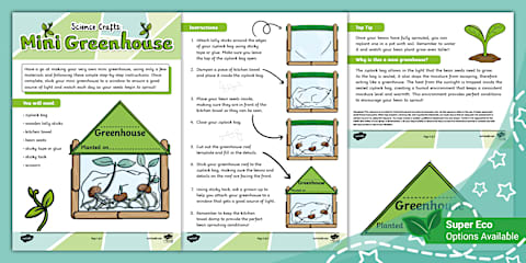 Build Your Own Mini Greenhouse Activity