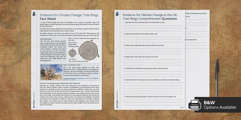 GCSE Evidence for Climate Change Ice Cores Reading Comprehension
