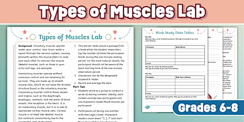 The Muscular System: Muscle Labeling Worksheet for Older Learners