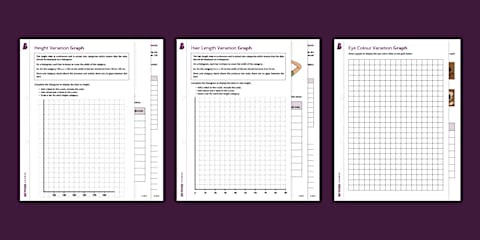 Types of Variation Data Worksheet