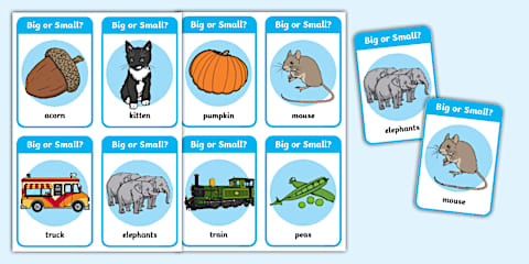 Big and Small Animals Photo Sorting Activity - Twinkl