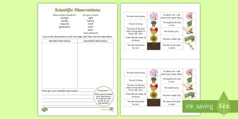 Scientific Observations Worksheet