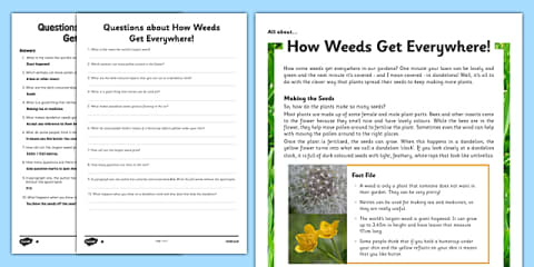 Common Weeds Poster