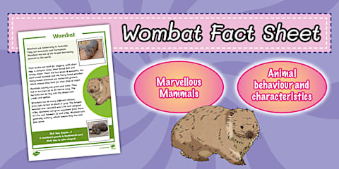 Emu Fact Sheet