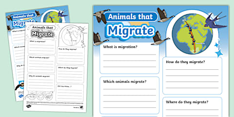 Animal Migration Mind Map for 6th-8th Grade