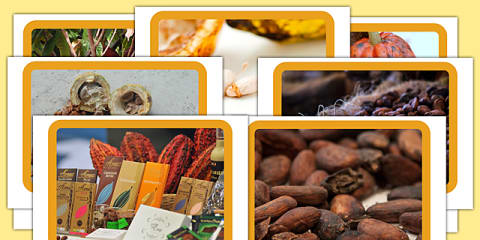 The History of Chocolate PowerPoint & Google Slides for K-2nd Grade