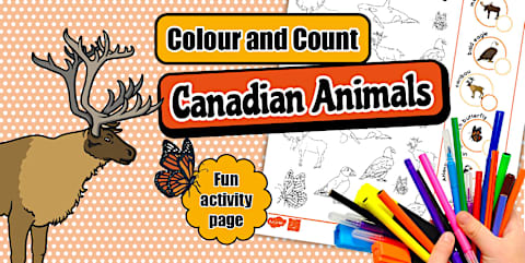 Canadian Coins and Bills Cut and Paste Activity