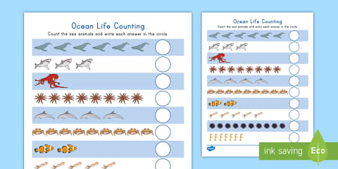 Ocean Animals Read Trace Write Draw Worksheet | Twinkl USA