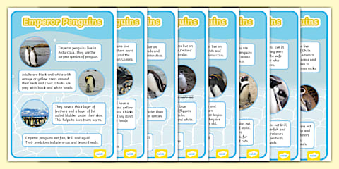 Emperor Penguin Information PowerPoint