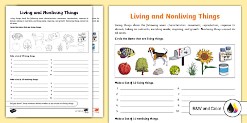 Characteristics of Living Things Mrs. Gren Acronym Poster
